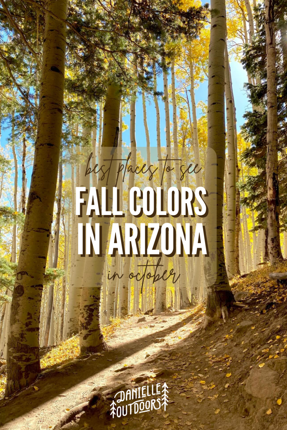 Fall Colors in Arizona: Best Places to See Them