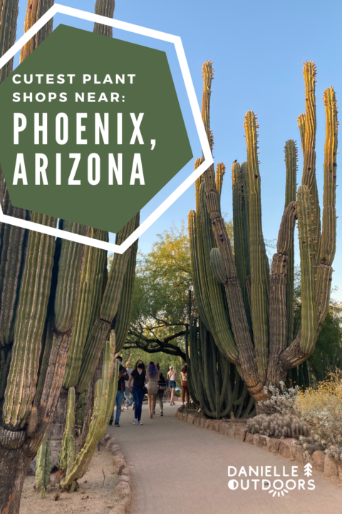 10 Best Plant Shops & Nurseries in Phoenix, AZ (2026 Local Guide)
