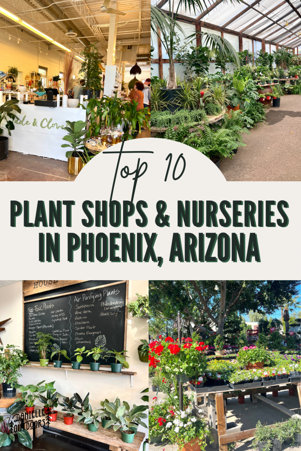 10 Best Plant Shops & Nurseries in Phoenix, AZ (2026 Local Guide)