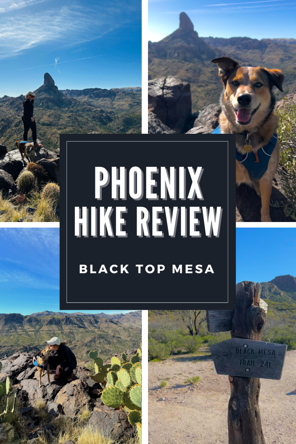 A Day Hike to Black Top Mesa in the Superstition Mountains - Danielle ...