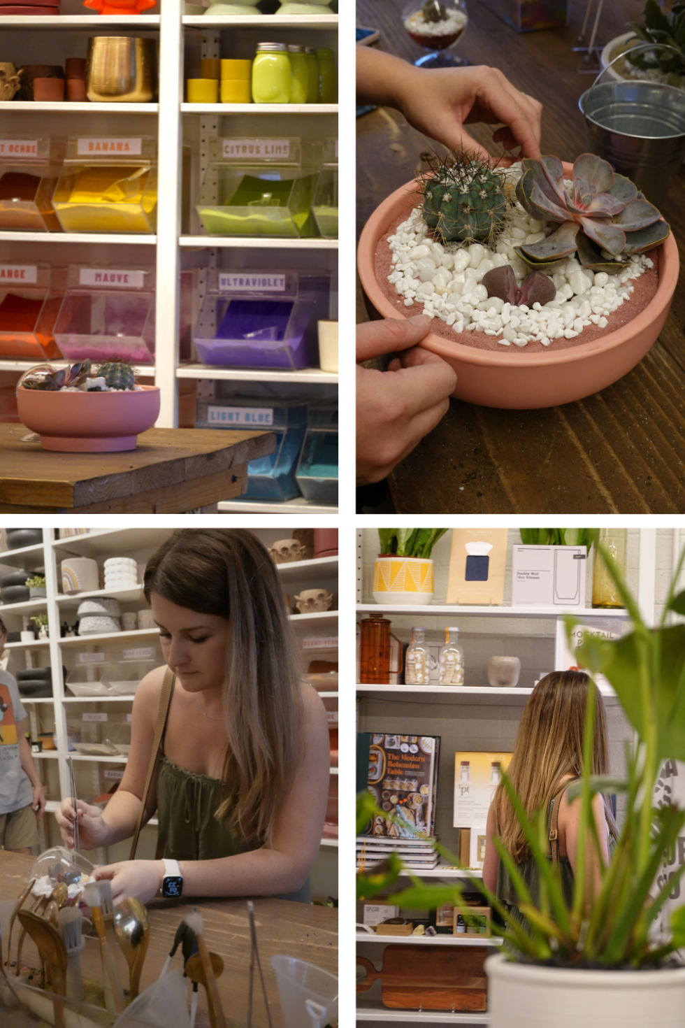 10 Best Plant Shops & Nurseries in Phoenix, AZ (2026 Local Guide)