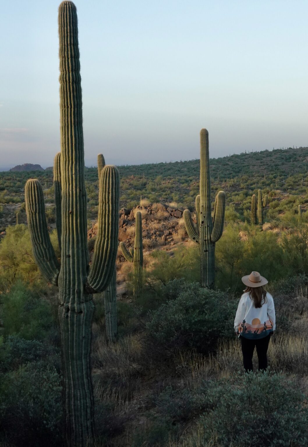 Spring Break in Arizona is THE BEST!