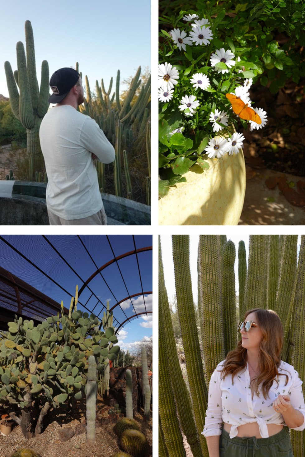 Spring Break in Arizona is THE BEST!
