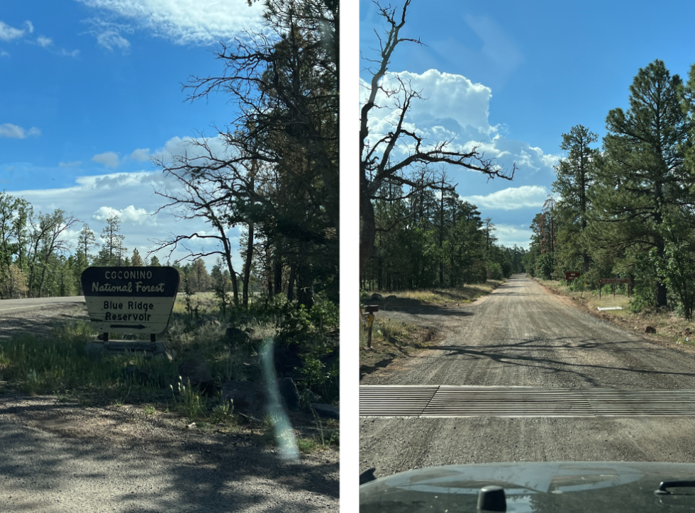 Blue Ridge Reservoir in Arizona: A Must Visit in Summer!
