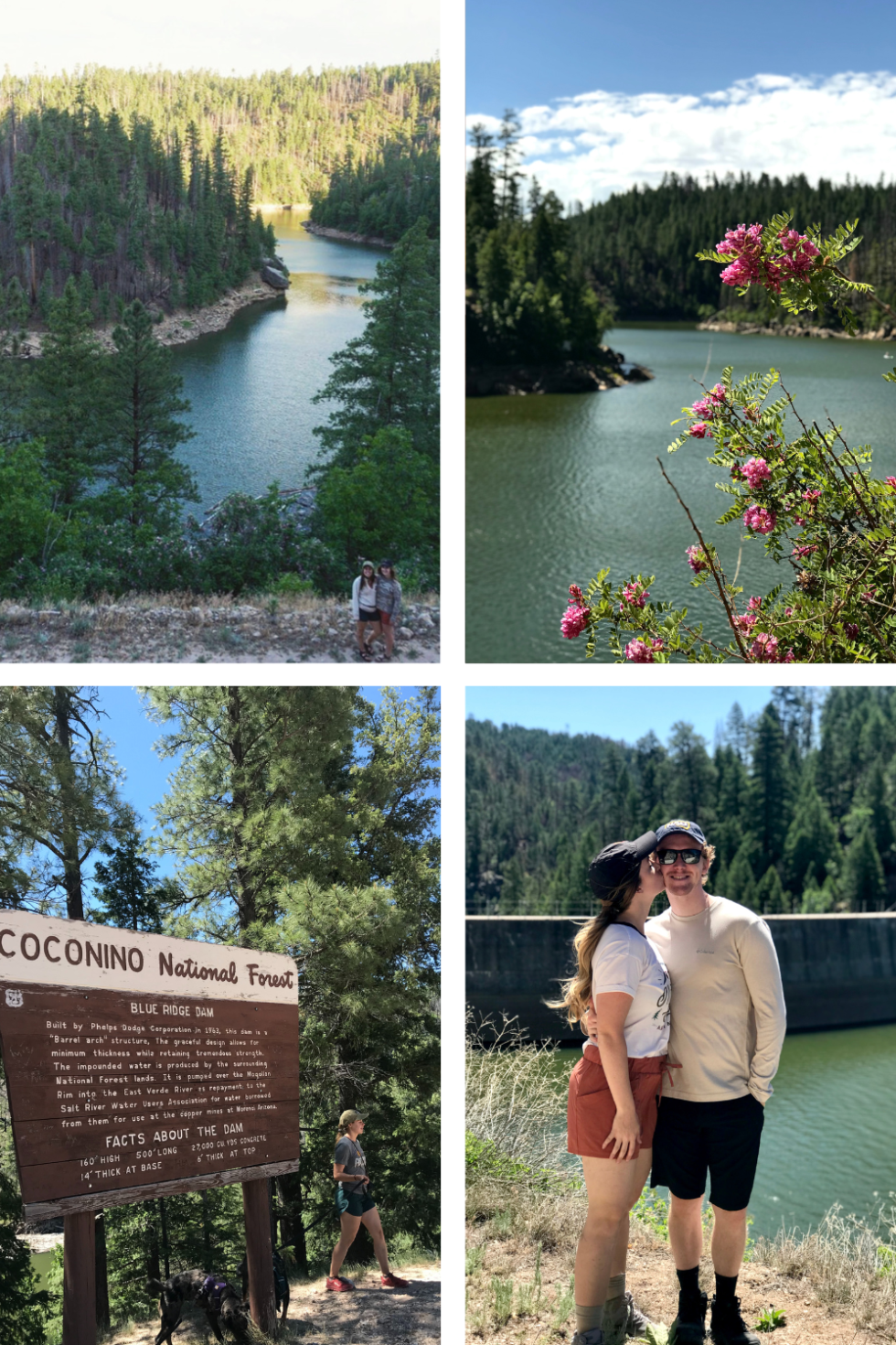 Blue Ridge Reservoir in Arizona: A Must Visit in Summer!