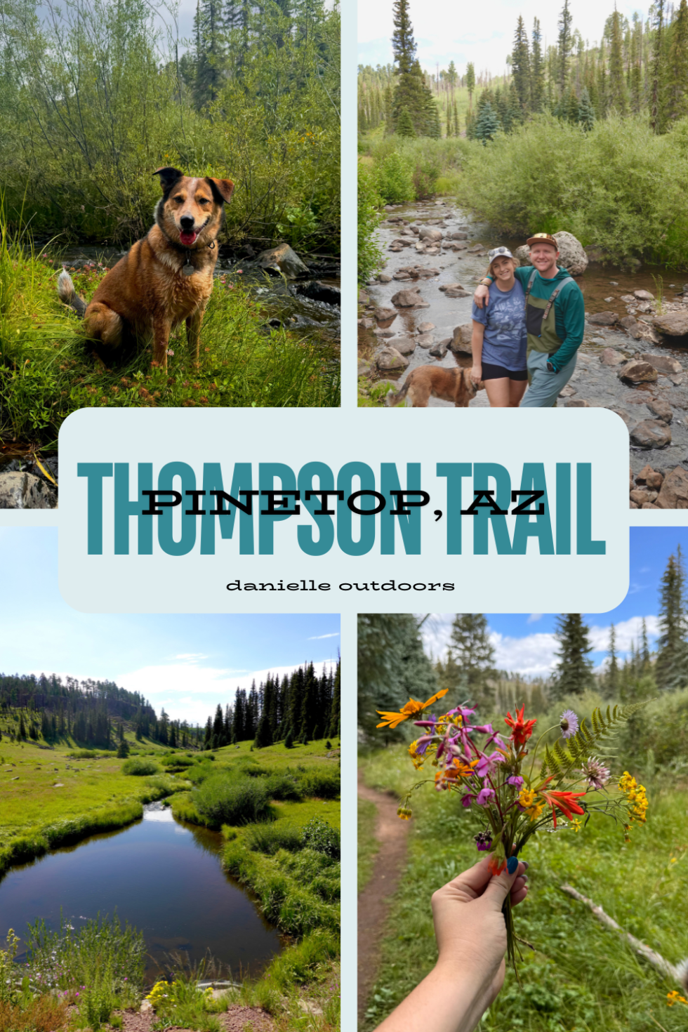Thompson Trail in Arizona- The Greenest Hike in the State