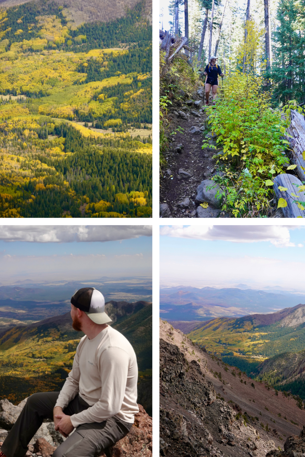 Flagstaff in the Fall: Mind-Blowing Views