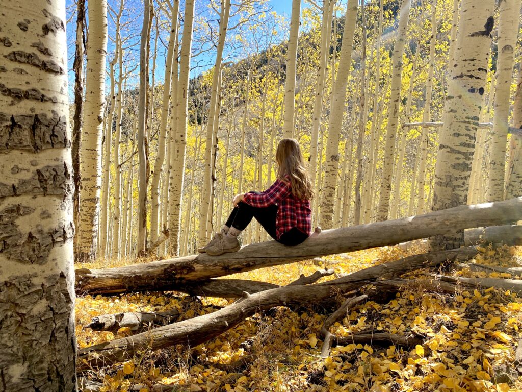 Flagstaff in the Fall: Mind-Blowing Views