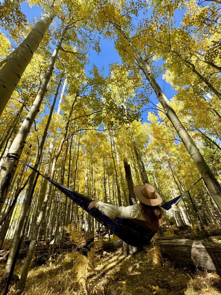 Flagstaff in the Fall: Mind-Blowing Views