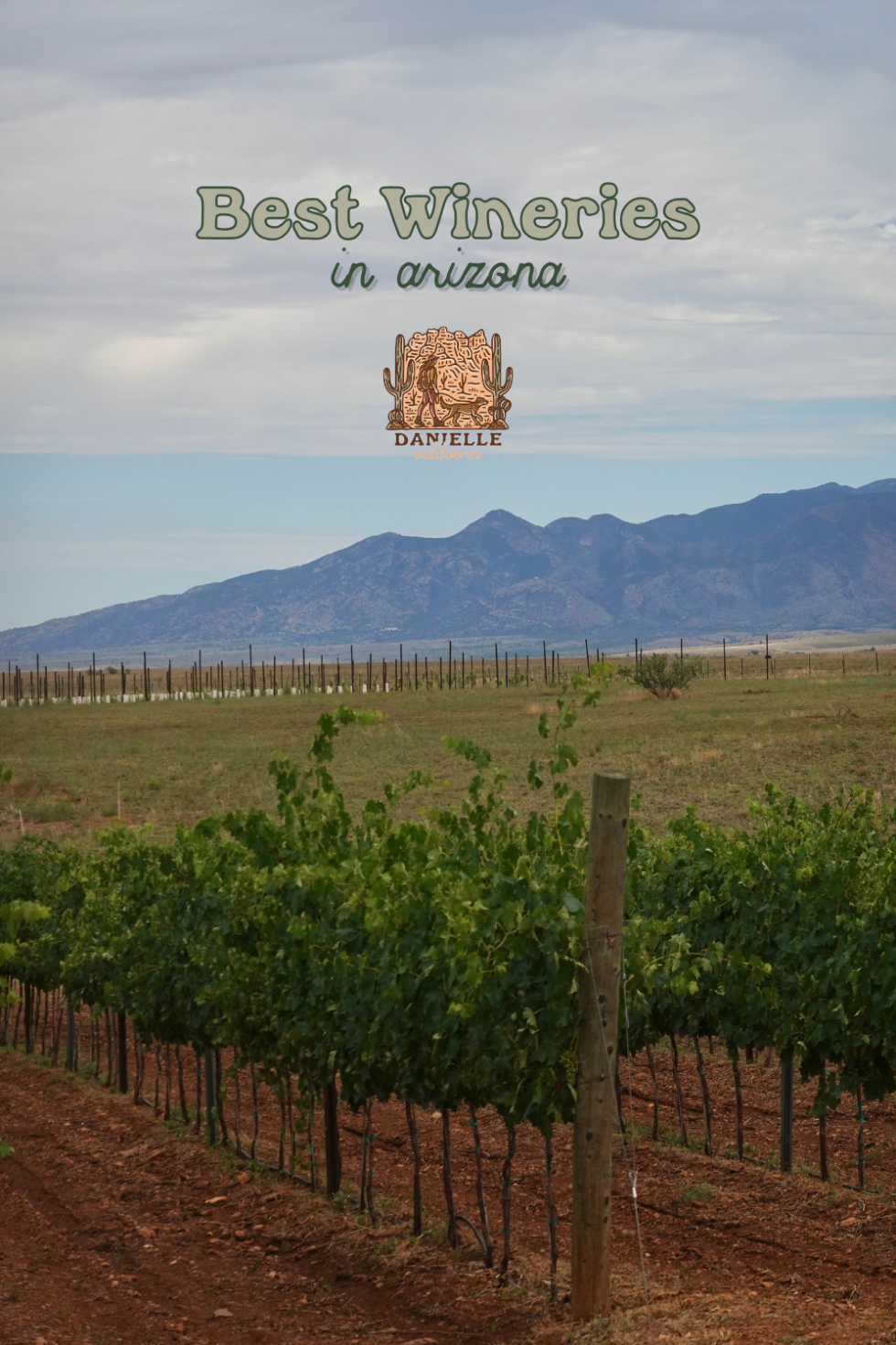 Best Wineries in Arizona: A Taste of the Southwest