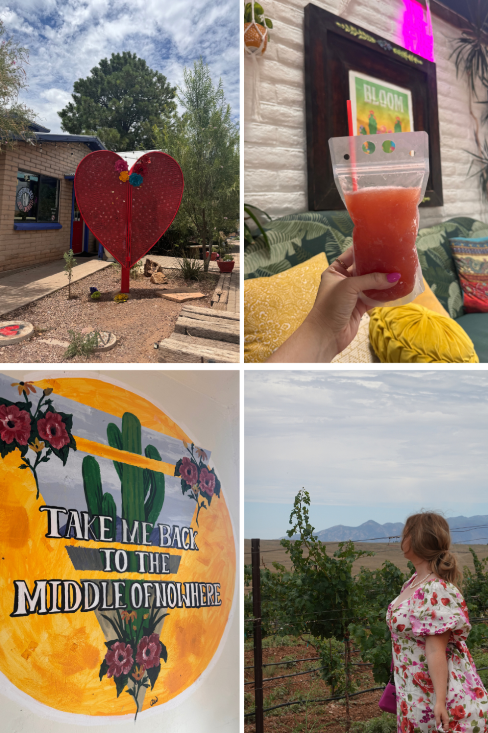 Best Wineries in Arizona: A Taste of the Southwest