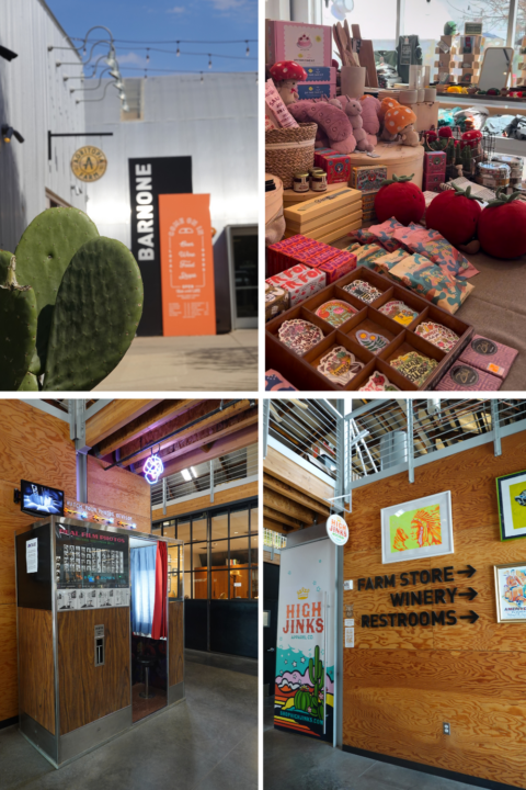 The Best Local Phoenix Souvenir Shops - Danielle Outdoors