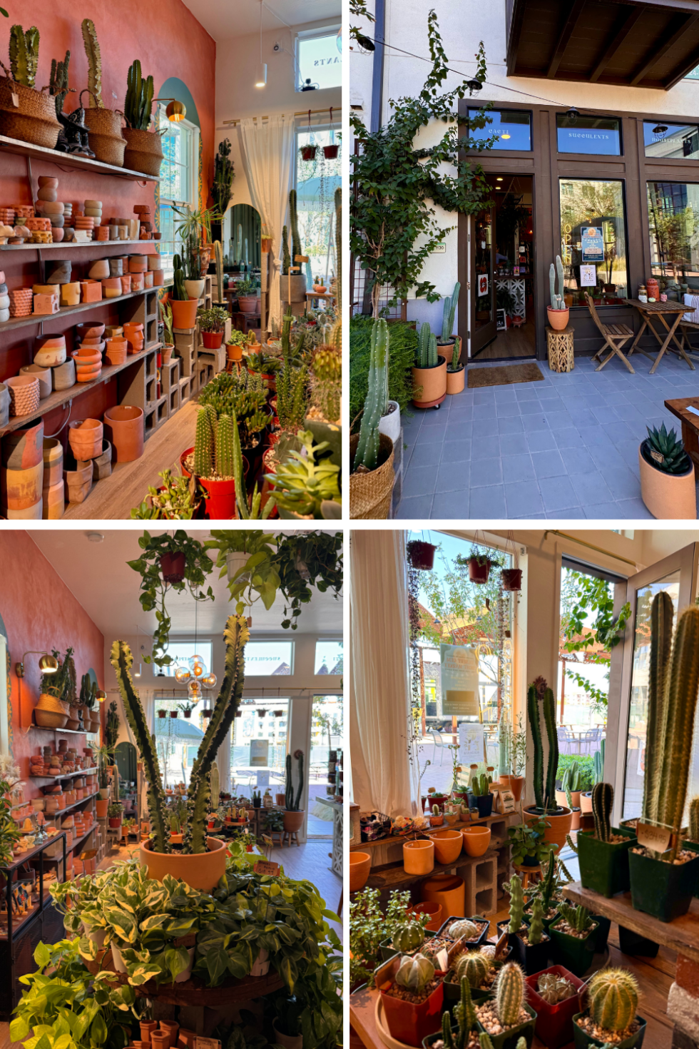 The Best Local Phoenix Souvenir Shops - Danielle Outdoors