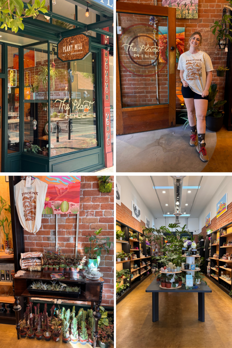 The Best Local Phoenix Souvenir Shops - Danielle Outdoors