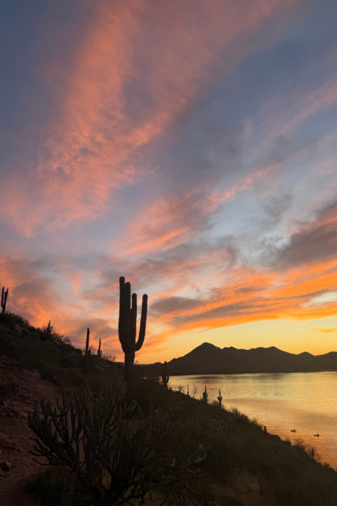 Butcher Jones Trail: A Stunning Lakeside Hike at Saguaro Lake, Arizona