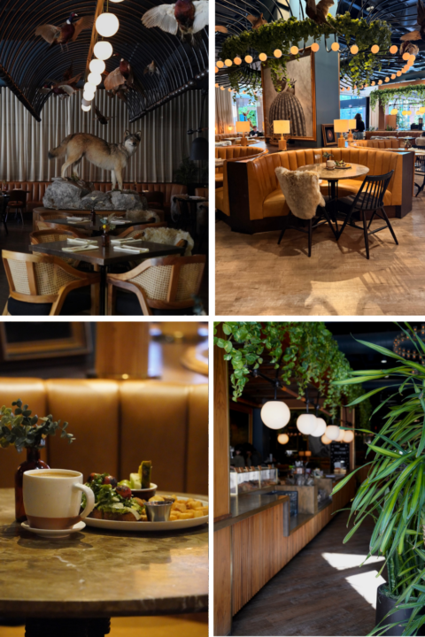 Unique Restaurants in Phoenix You Can't Find Anywhere Else
